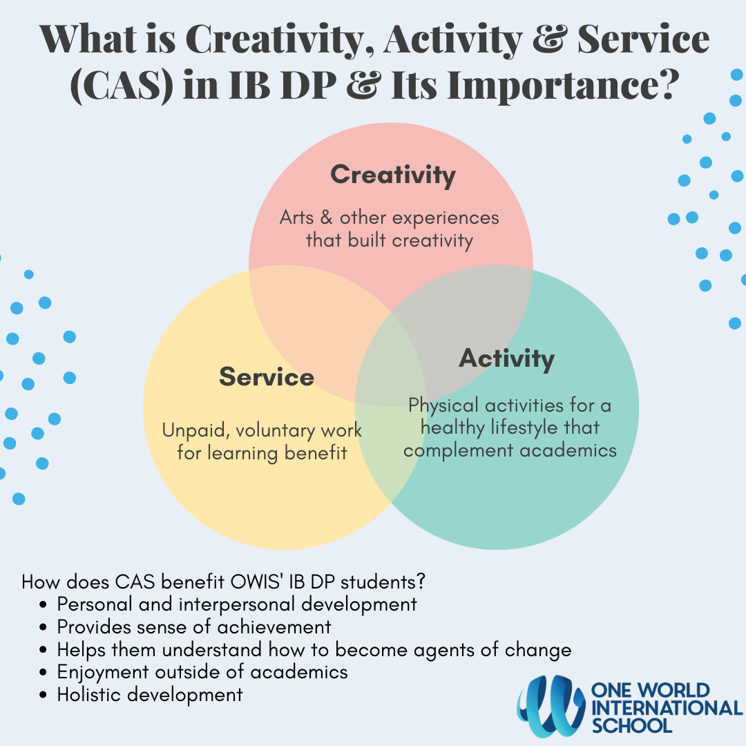 Why is Creativity, Activity and Service So Important at OWIS? - OWIS Singapore